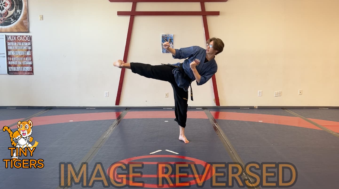 10 Kick Drill Tiny Tigers – Yondo Tube